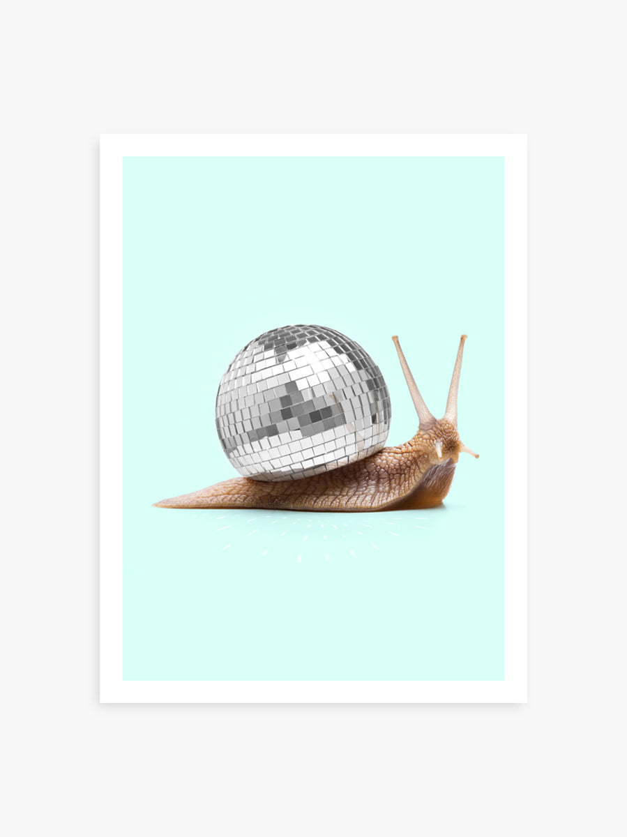 Disco Snail – Paul Fuentes